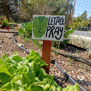 Vegetable Garden Sign Set Funny Gardener Gift Farmer Decor Rustic Kids ...