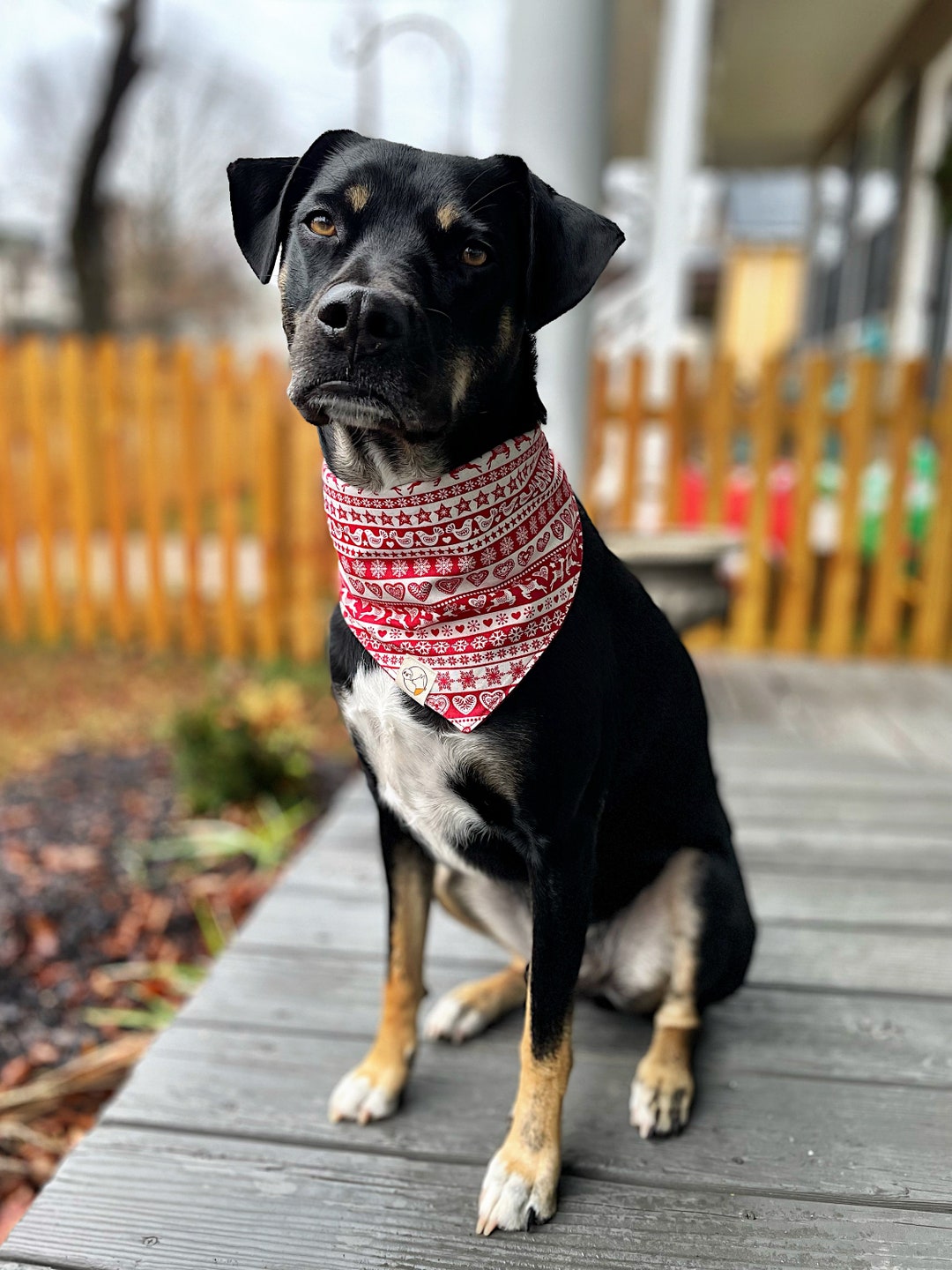Holiday Dog Bandana Ugly Sweater Party Bandana Red Flannel - Etsy