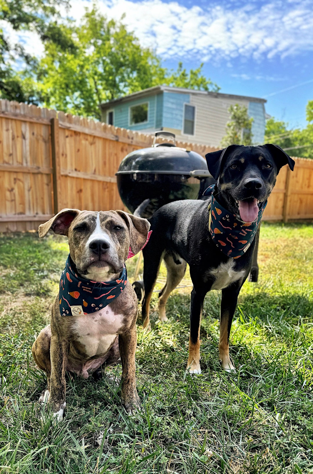 Meat Lover Dog Bandana: Steak Night Cookout Buffalo Plaid Reversible ...