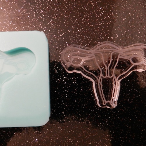 2 Etched Anatomical Uterus Silicone Mold for Resin or - Etsy