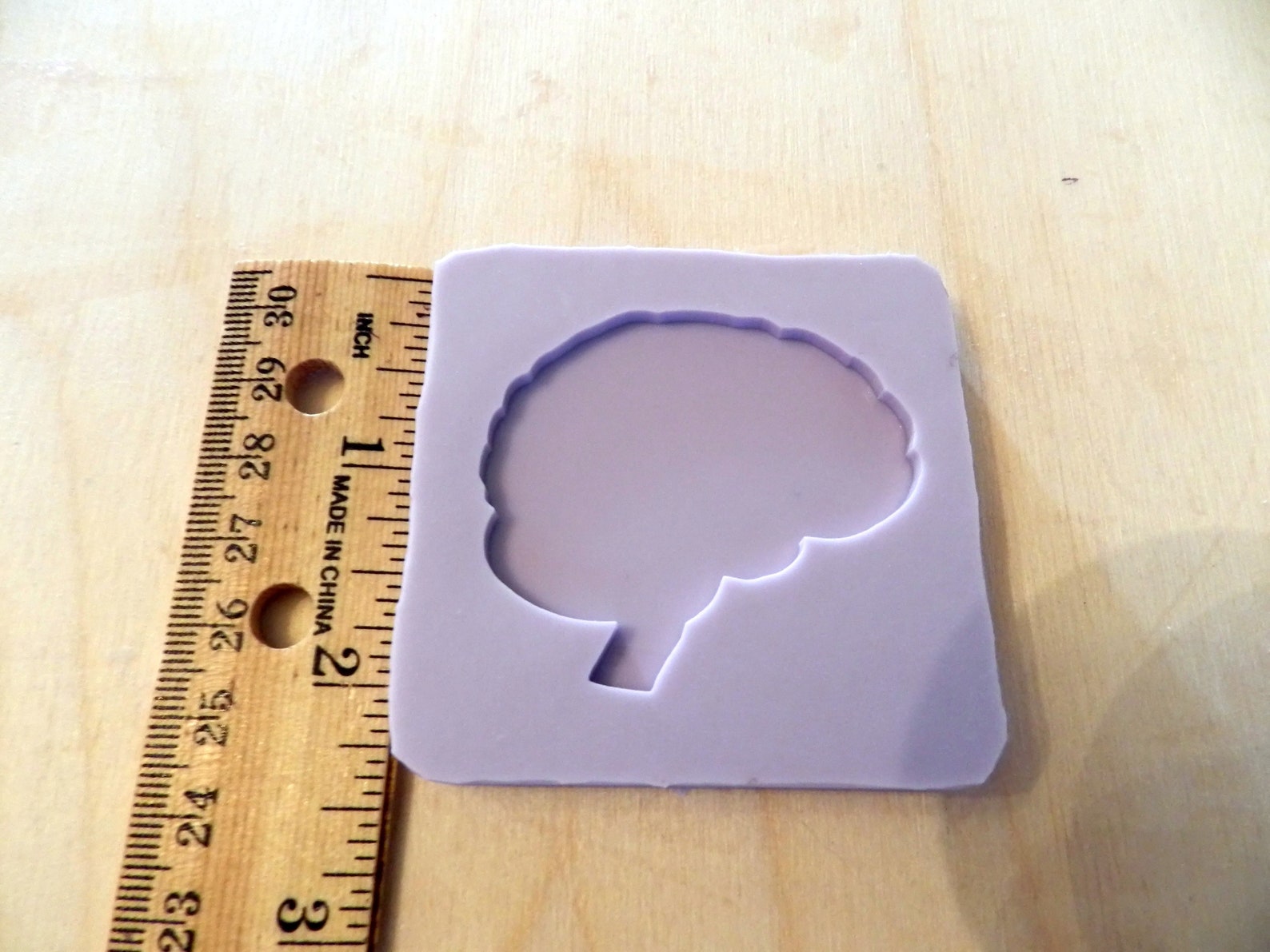 Anatomical Side Brain Mold for Resin and Epoxy. Sized for Use | Etsy