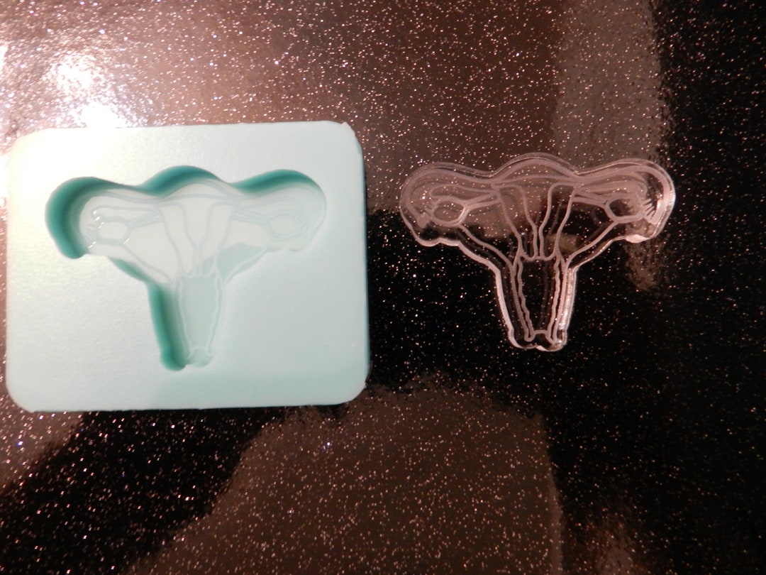 2 Etched Anatomical Uterus Silicone Mold for Resin or - Etsy