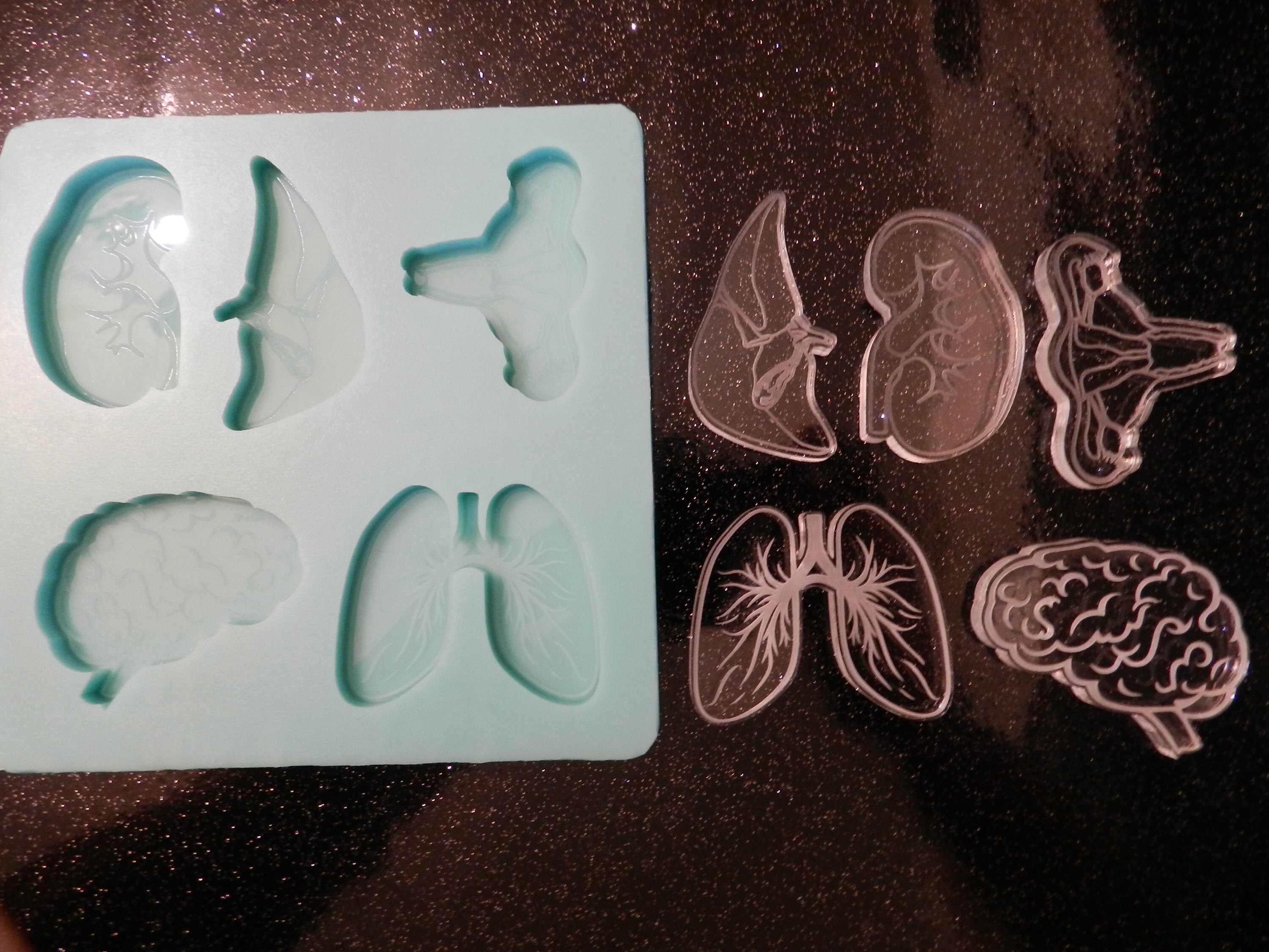 2 Etched Anatomical Uterus Silicone Mold for Resin or - Etsy
