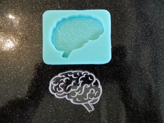 2 Etched Anatomical Brain Silicone Mold for Resin and - Etsy