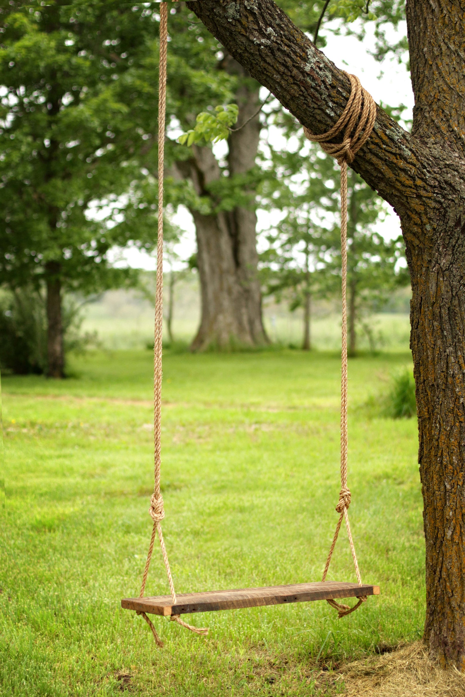Adult Tree Swing Reclaimed Wood Bench Swing Hanging Rope - Etsy