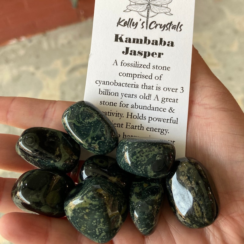 Kambaba Jasper - Etsy