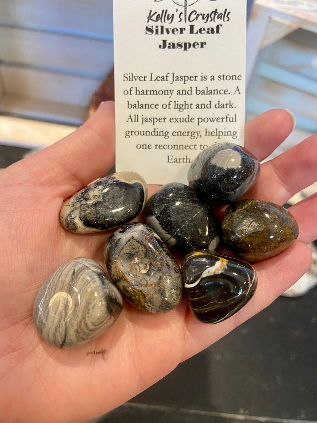 Silver Leaf Jasper Tumble Stone - Etsy