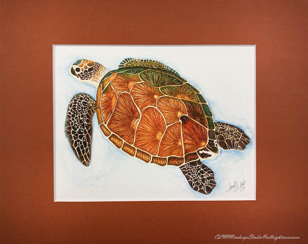 SEA TURLE Art Print - Etsy