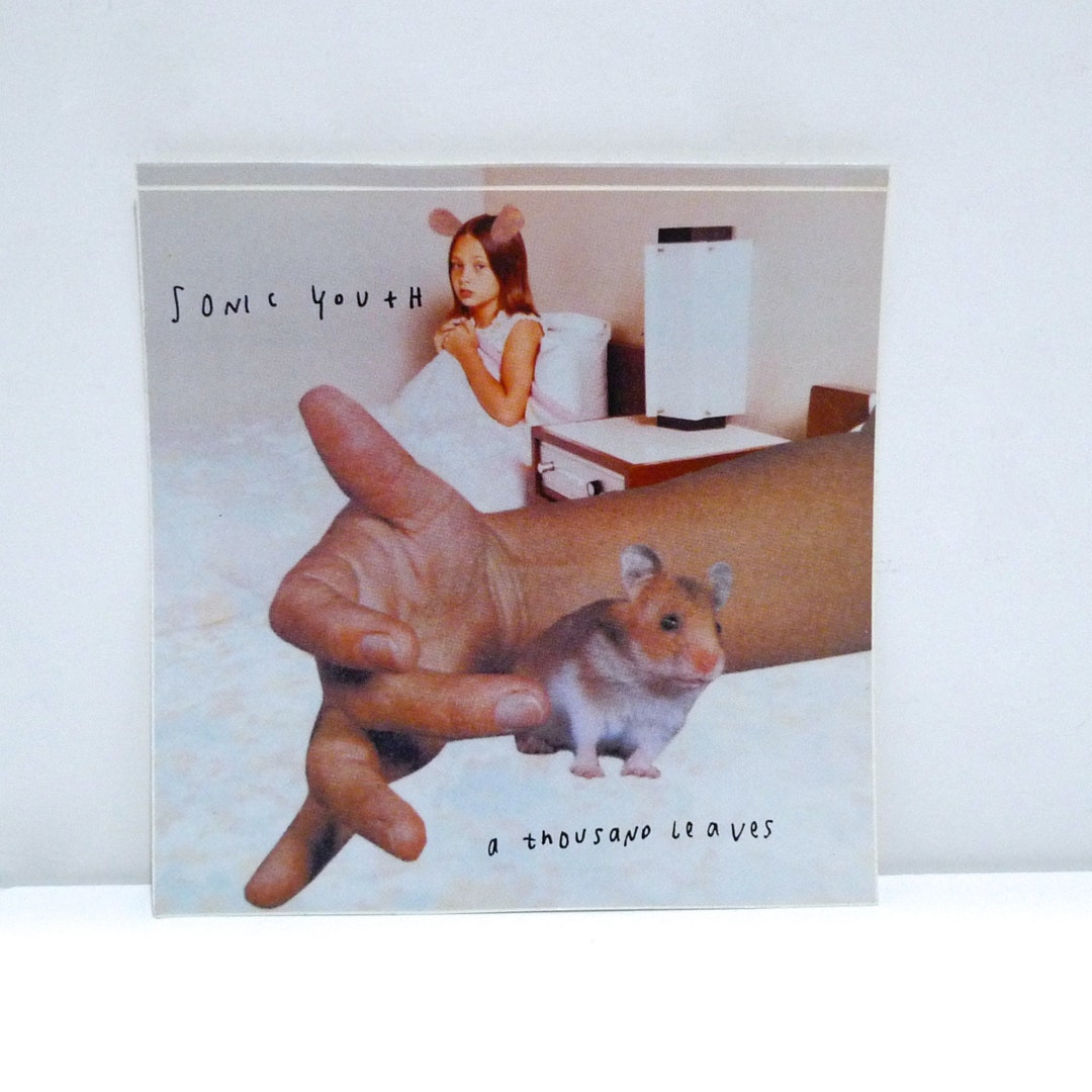 Sonic Youth Sticker A Thousand Leaves 1998 Vintage Kim Gordon Thurston ...