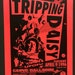 Tripping Daisy Poster Live in Concert Elastic Firecracker Tour With ...