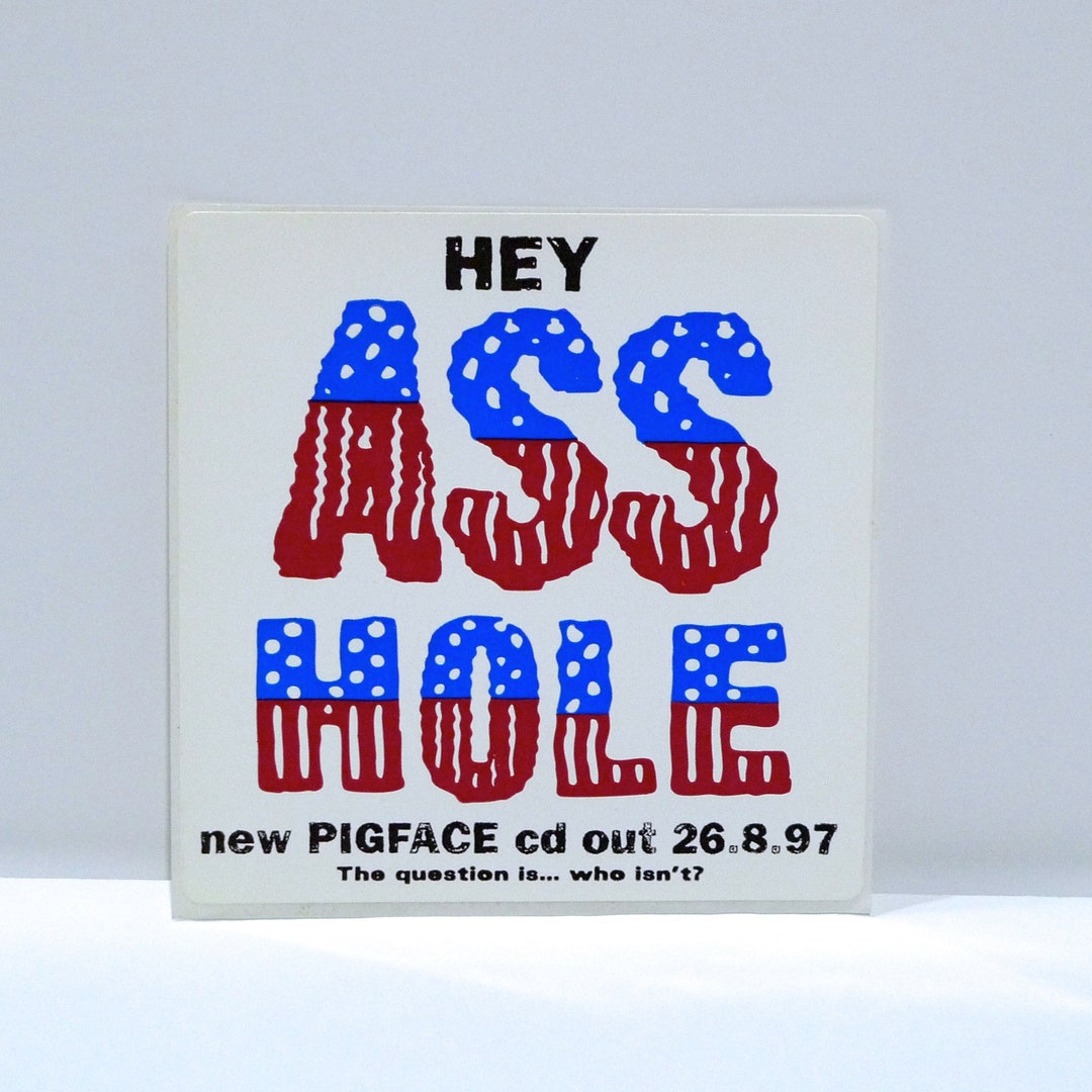 Pigface Sticker 1997 - Hey A-hole, the Question is .. Who Isn't ...