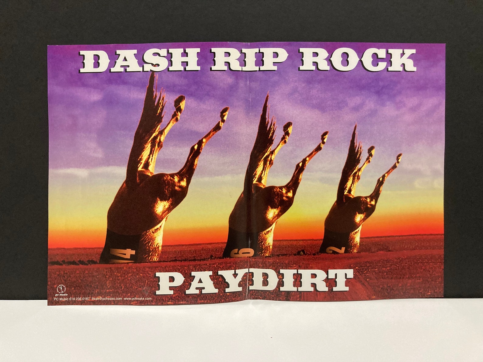 Dash Rip Rock Poster Pay Dirt Vintage 1998 Indie Alternative - Etsy