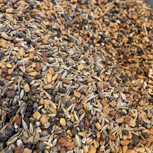 Nit'ir Qibe or Nitter Kibbeh - 1 to 8 Oz - Etsy