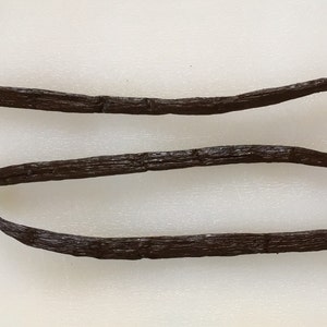 Vanilla Extract Kit - Etsy