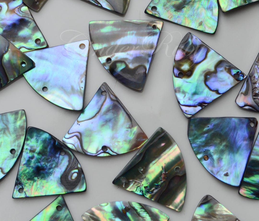 20 Mm Abalone Fan-shaped Wedge Beads - Etsy
