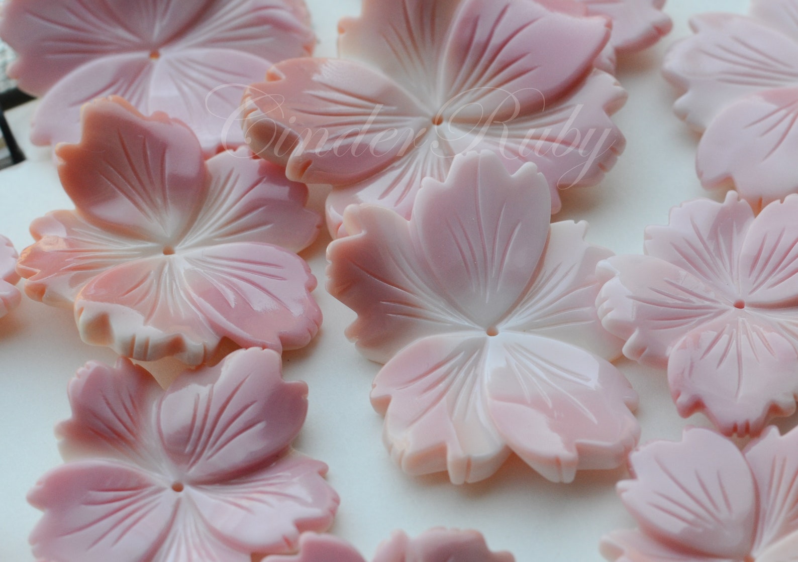 30-45 Mm Large Pink Shell Flowerspink Conch 5 Petal Freedom - Etsy