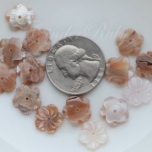 Exquisite Natural Pink Shell Flower Beads,12 Mm Brown Five Petal ...