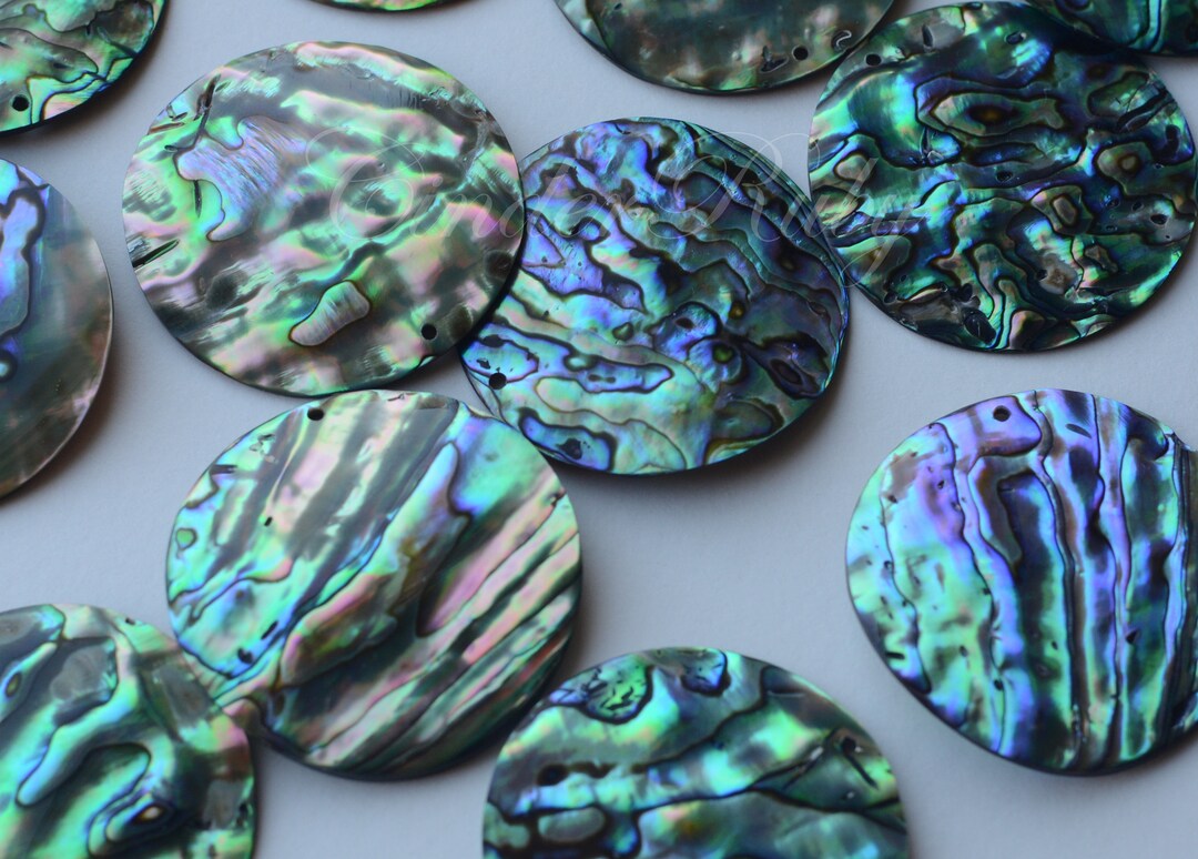 40 Mm Abalone Shell Circle Pendants, Green Hue Abalone Discs - Etsy