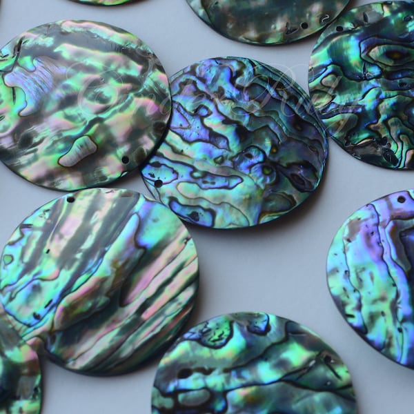 Blue Abalone Shell - Etsy