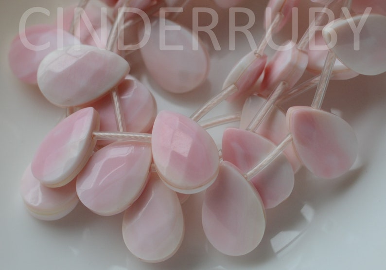 Cream Pink Conch Shell Flat Teardrops,queen Conch Faceted Briolettes ...