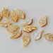Mini Tiny Golden Shell Leaf Charms, Yellow Shell Hand Carved Leaves ...