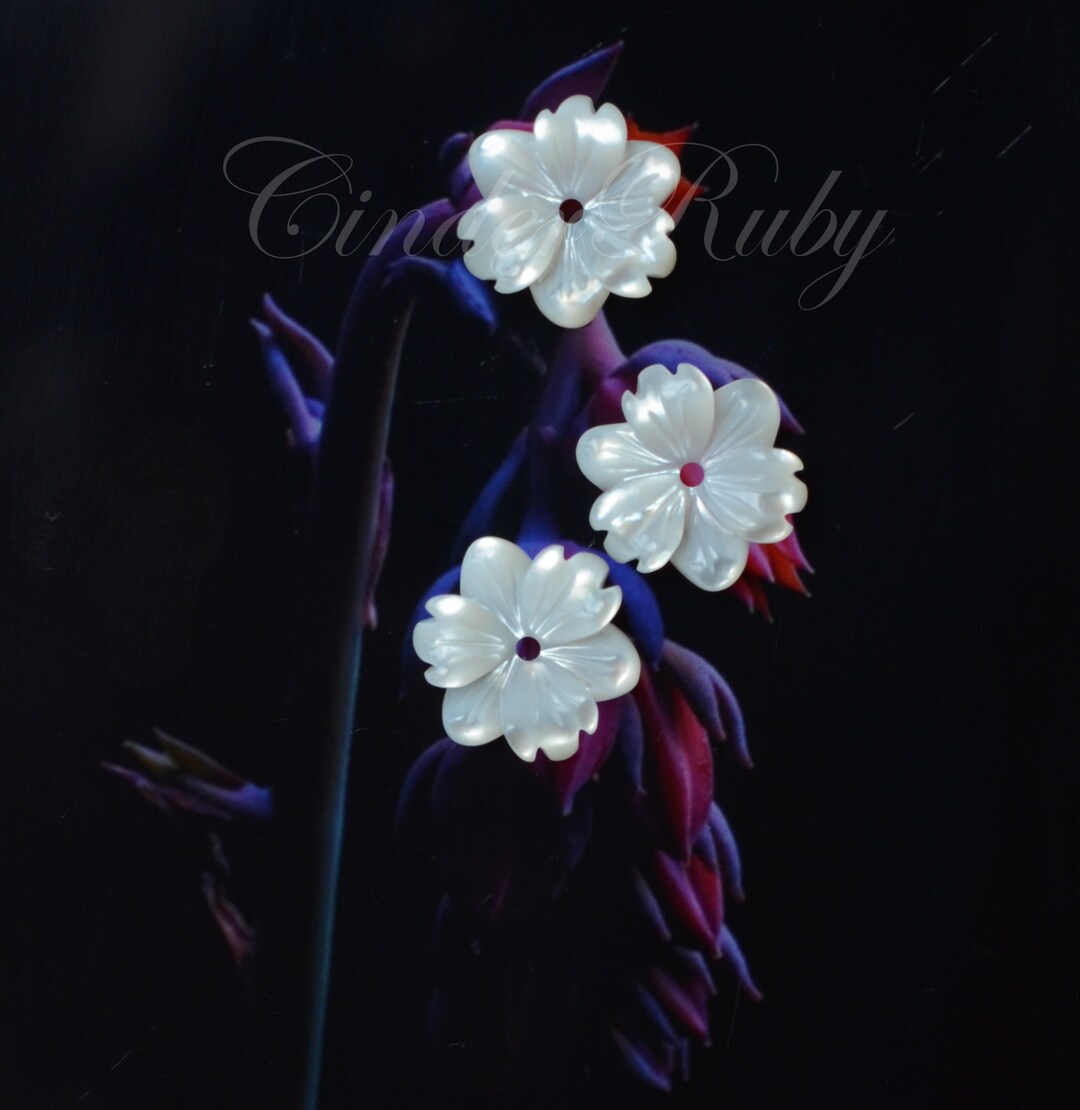 12 Mm Six Petal White MOP Flower Beads - Etsy