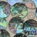 50 Mm Abalone Shell Circle Pendants, Green Hue Abalone Discs - Etsy