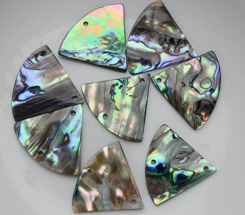 20 Mm Abalone Fan-shaped Wedge Beads - Etsy