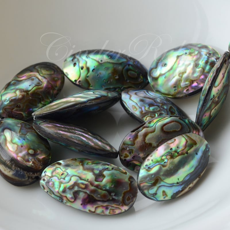 Shell Beads - Etsy