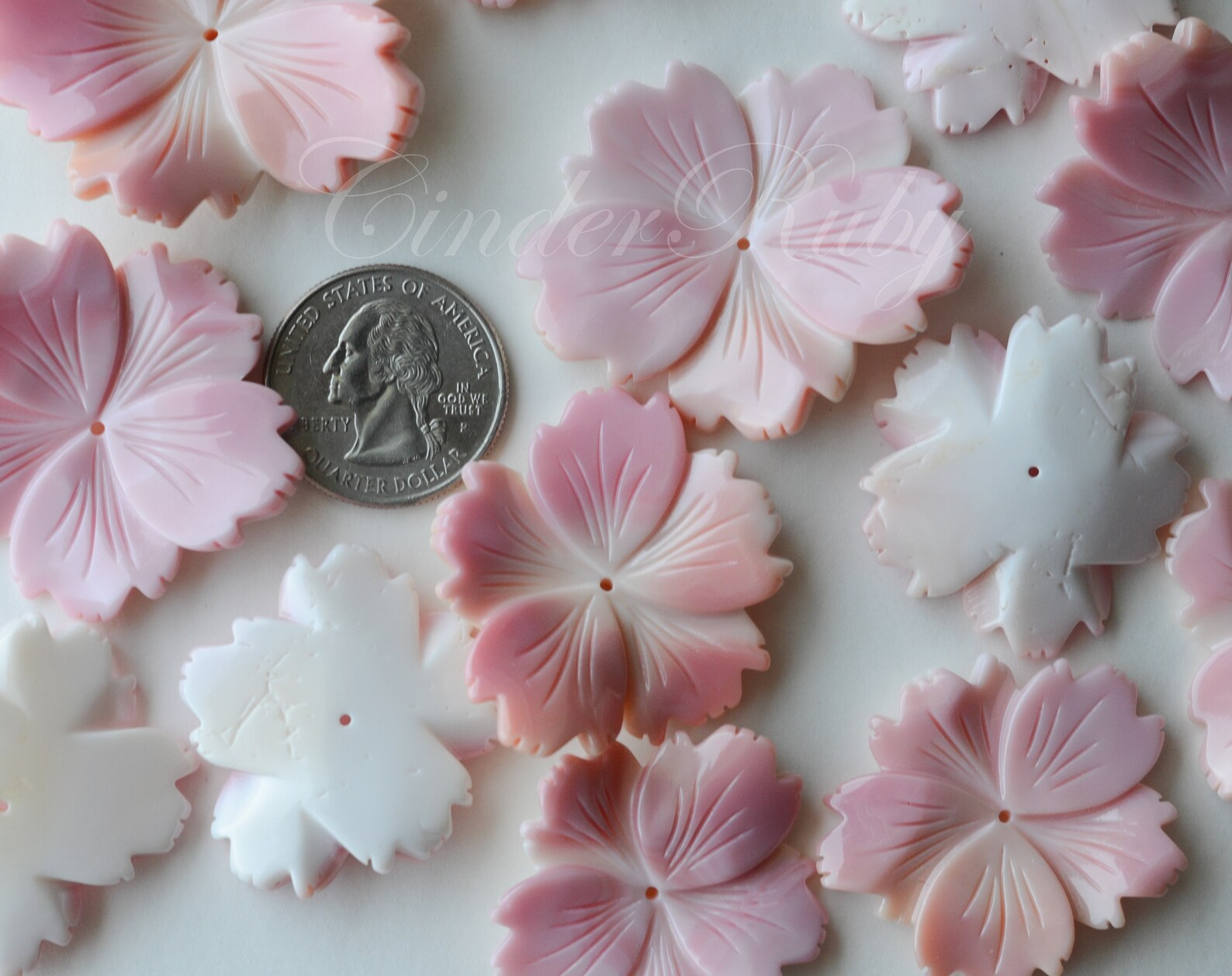 30-45 Mm Large Pink Shell Flowerspink Conch 5 Petal Freedom - Etsy