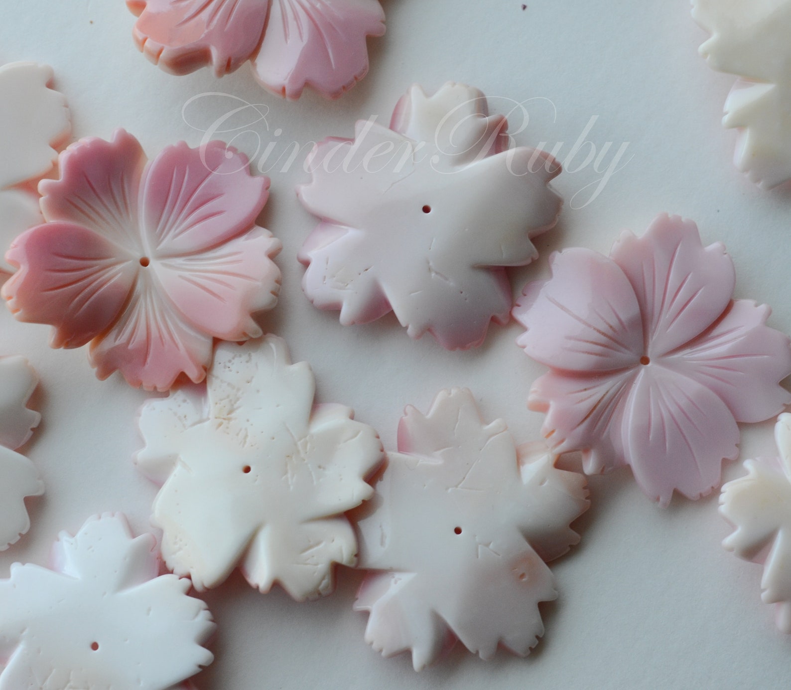 30-45 Mm Large Pink Shell Flowerspink Conch 5 Petal Freedom - Etsy