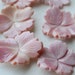 30-45 Mm Large Pink Shell Flowers,pink Conch 5 Petal Freedom Flowers ...