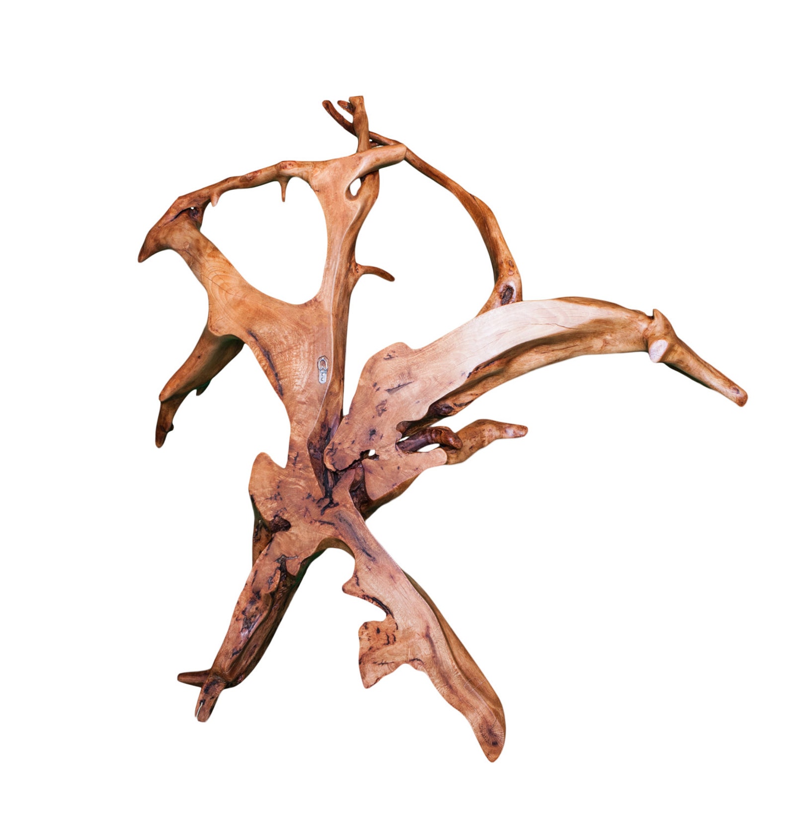 Wall Decor Oak Tree Stump | Etsy