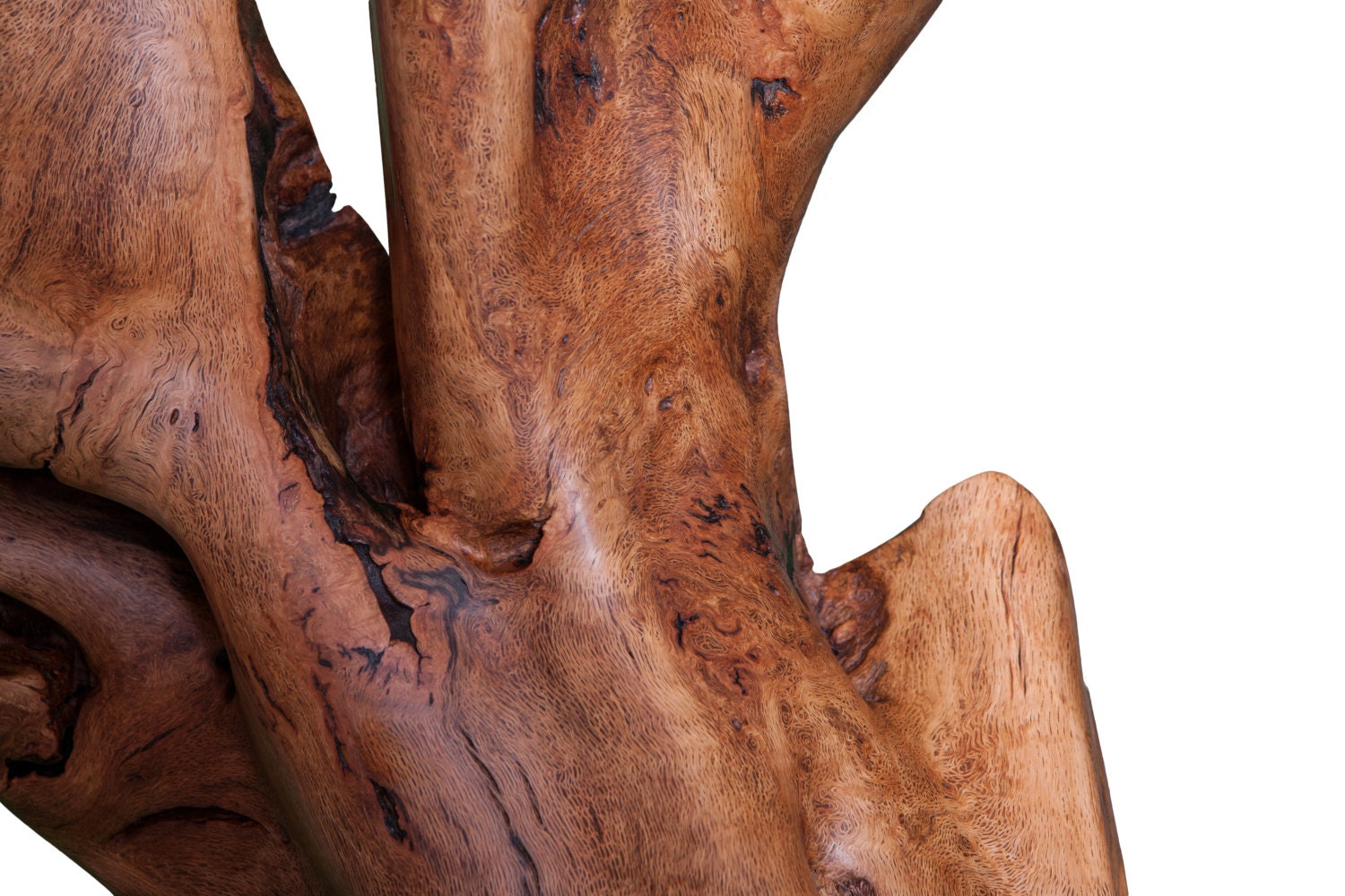 Wall Decor Oak Tree Stump - Etsy