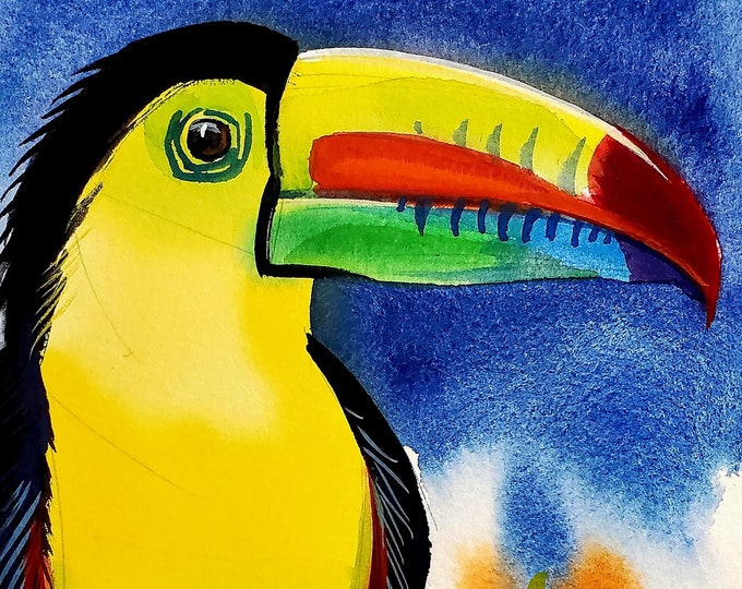 Keel-billed Toucan: Part of My 2022 A Year of Birds Challenge. One-of-a ...