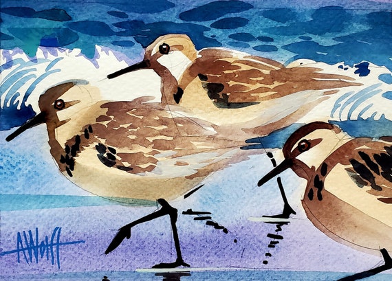 Sanderling is Part of My 2022 A Year of Birds Challenge. - Etsy