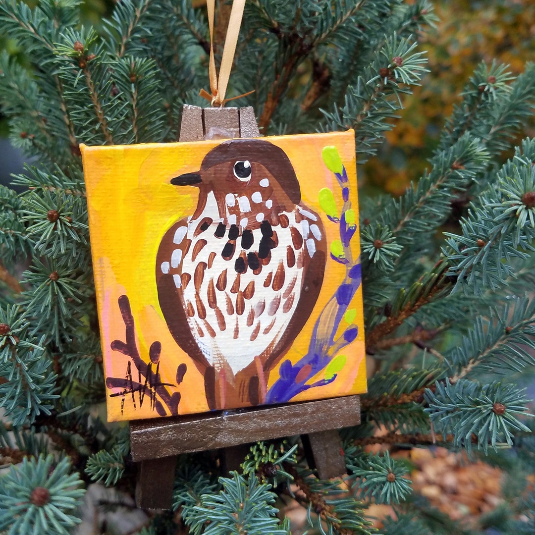 Hermit Thrush Vermont State Bird. for the Bird Lover on Your - Etsy