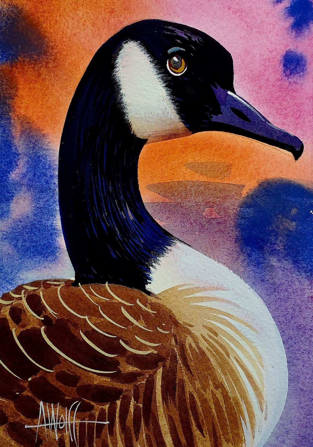 Canada Goose is Part of My 2022 A Year of Birds Challenge. One-of-a ...