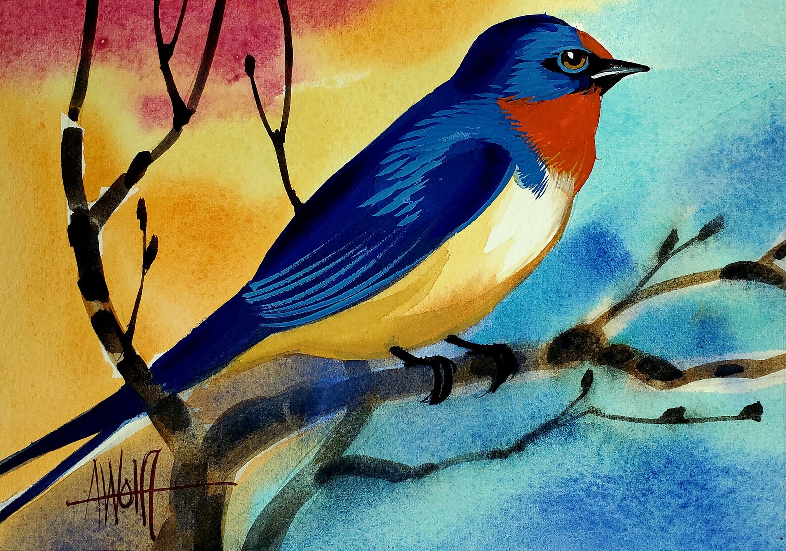 Barn Swallow is Part of My 2022 A Year of Birds Challenge. One-of-a ...