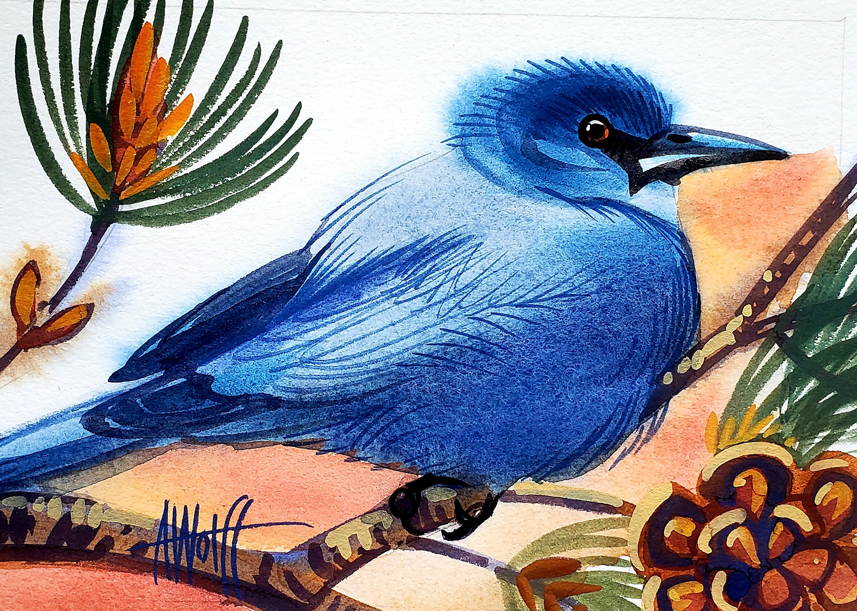 Pinyon Jay is Part of My 2022 A Year of Birds Challenge. One-of-a-kind ...