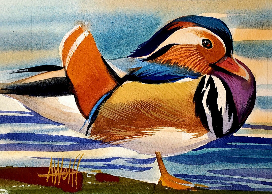 Mandarin Duck is Part of My 2022 A Year of Birds Challenge. One-of-a ...