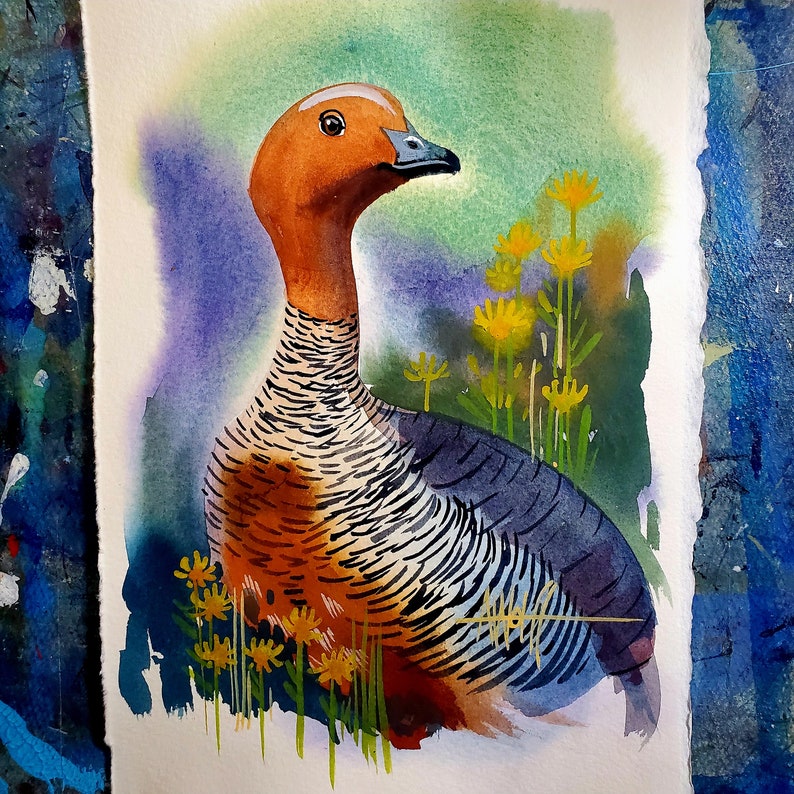 Ruddy-headed Goose is Part of My 2022 A Year of Birds Challenge. One-of ...