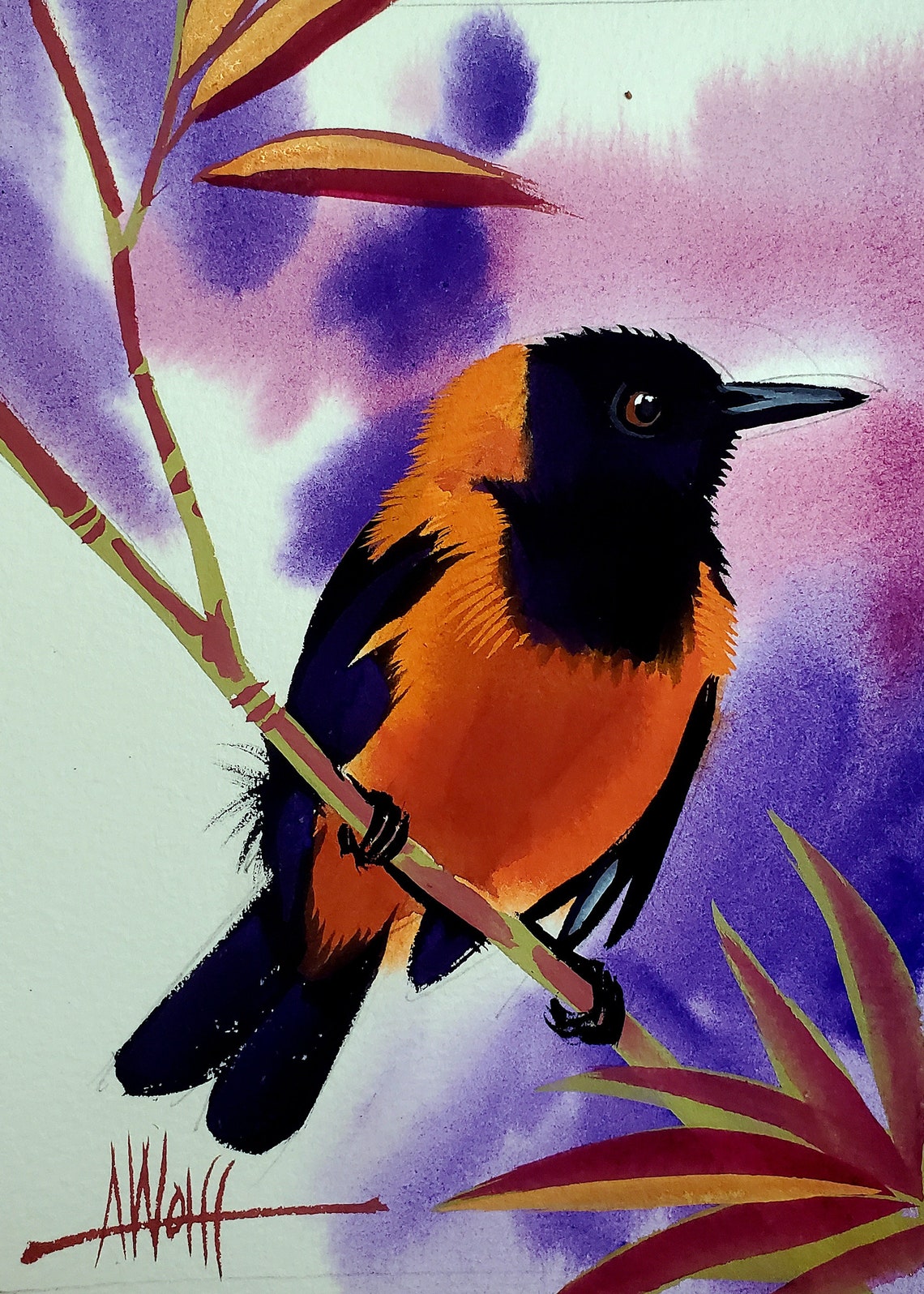 Hooded Pitohui is Part of My 2022 A Year of Birds Challenge. - Etsy