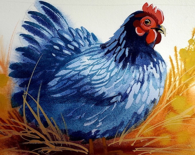 Blue Hen Chicken is Part of My 2022 A Year of Birds Challenge. One-of-a ...