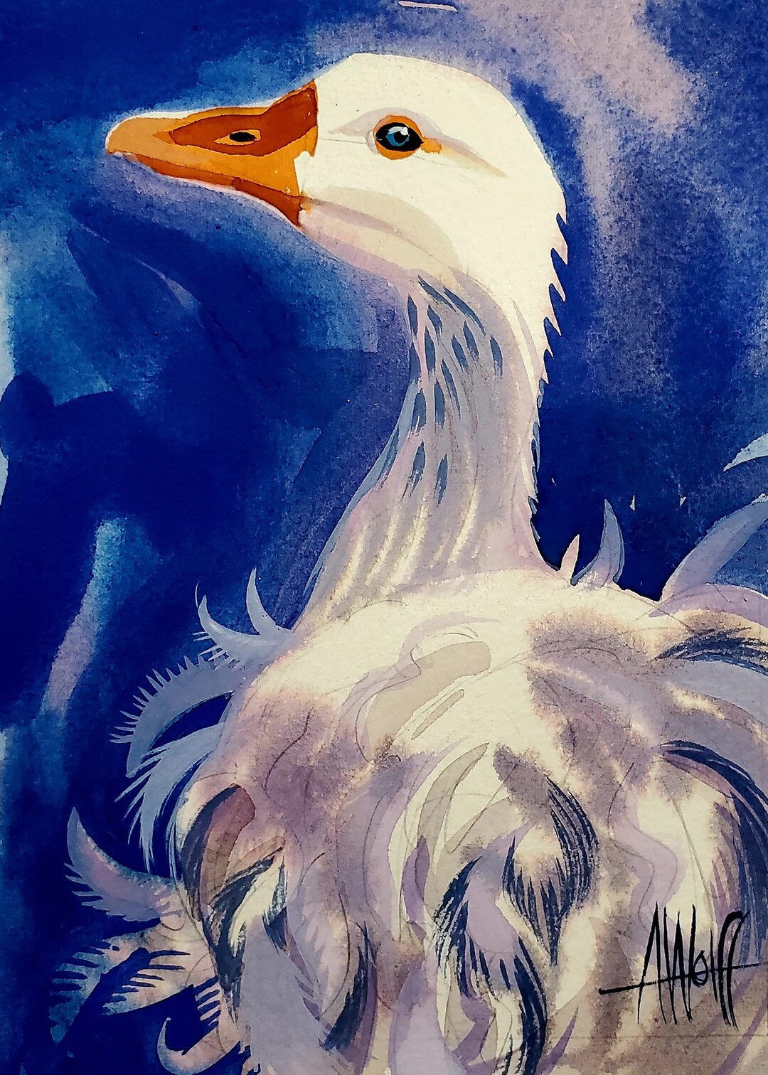 Sebastopol Duck is Part of My 2022 A Year of Birds Challenge. One-of-a ...