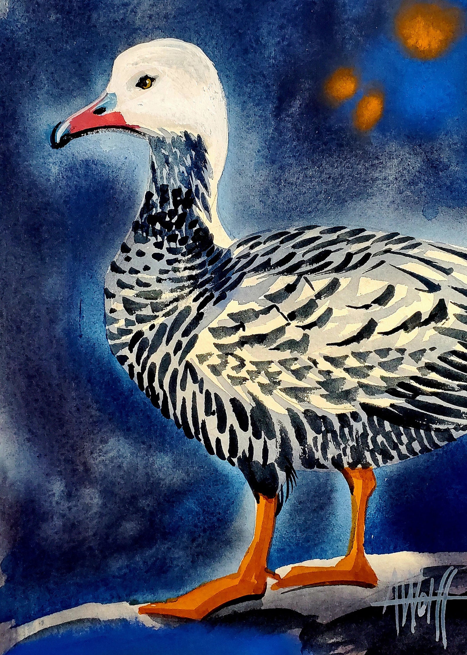 Emperor Goose is Part of My 2022 A Year of Birds Challenge. One-of-a ...