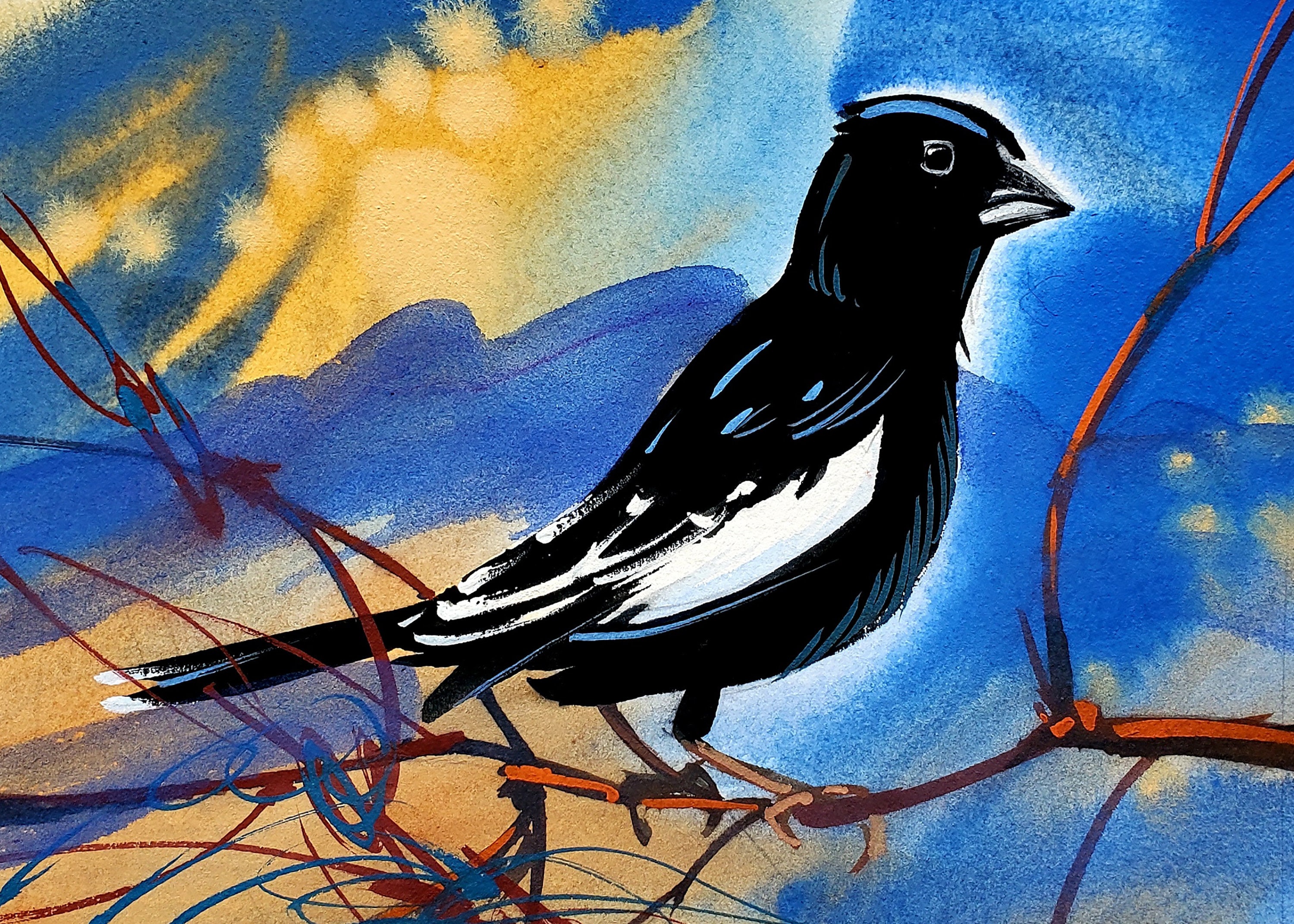 Lark Bunting Drawing
