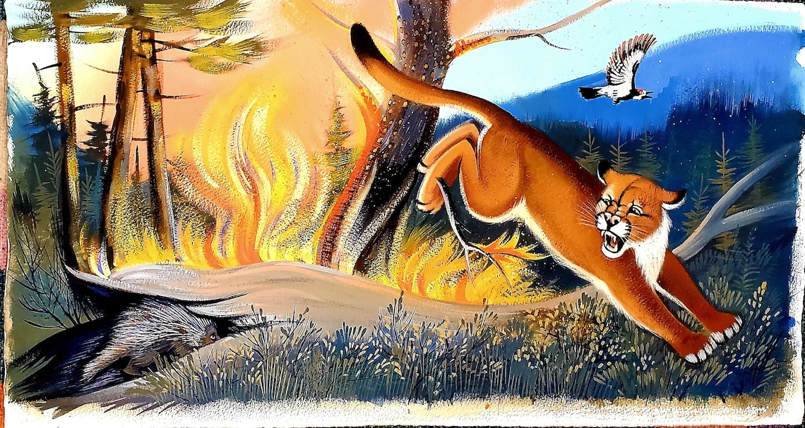 WILDFIRE! a Picture Book for Young and Old About a Wildfire in a Forest ...