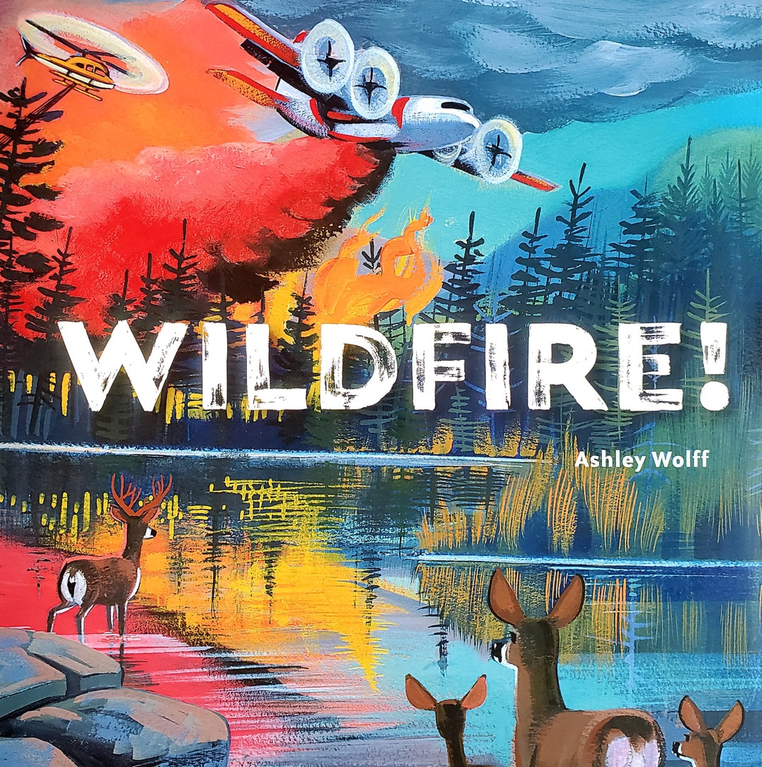 WILDFIRE! a Picture Book for Young and Old About a Wildfire in a Forest ...