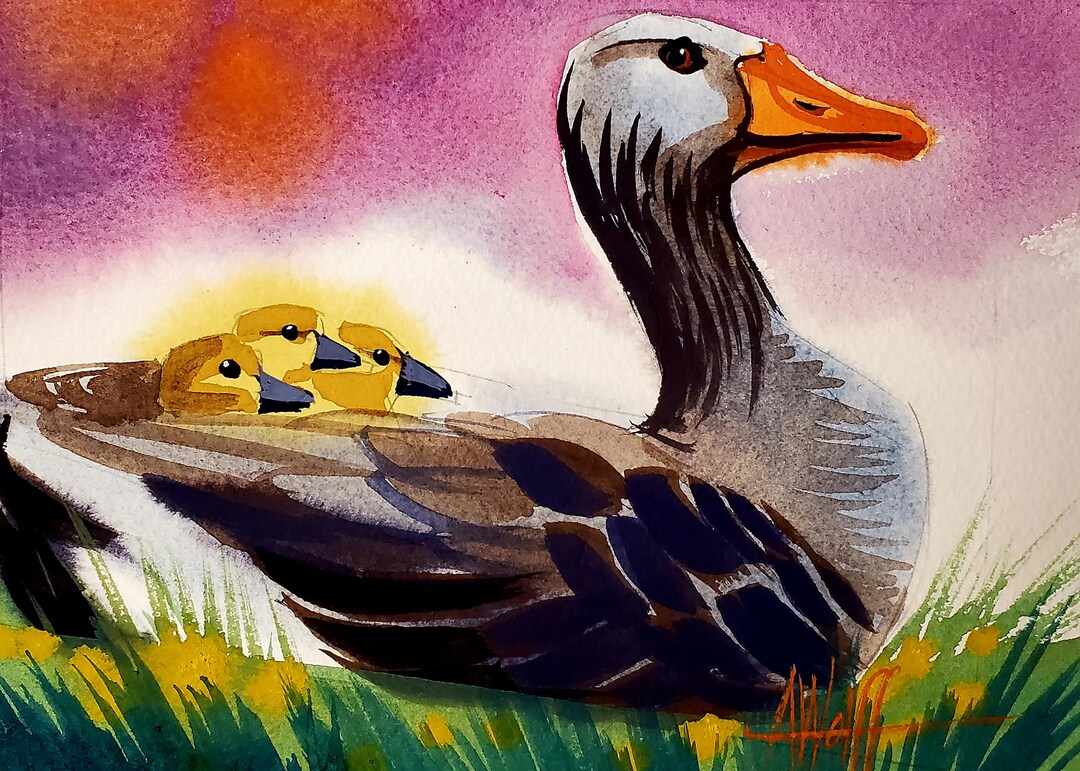 Greylag Goose is Part of My 2022 A Year of Birds Challenge. One-of-a ...